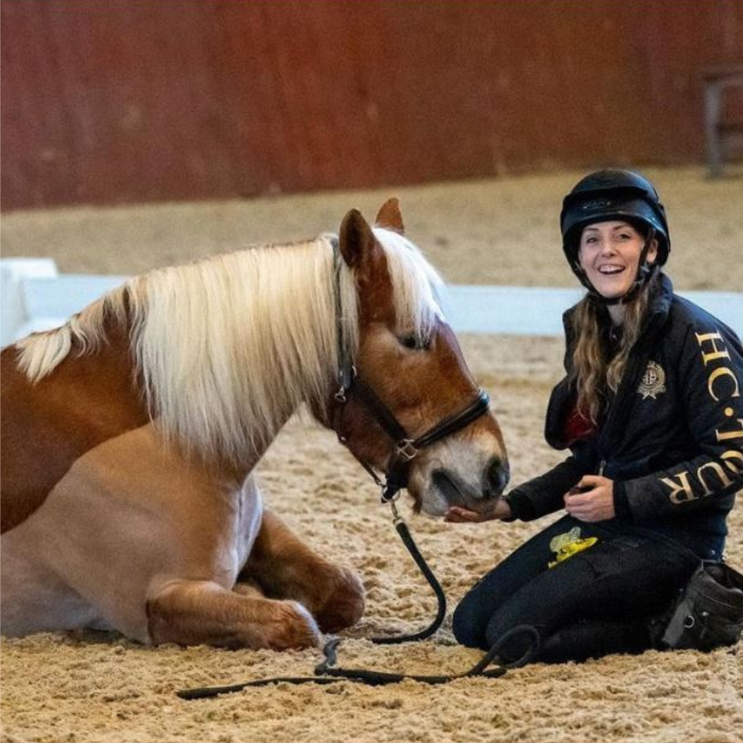 Animal Encounters - Autumn Show - SEAS