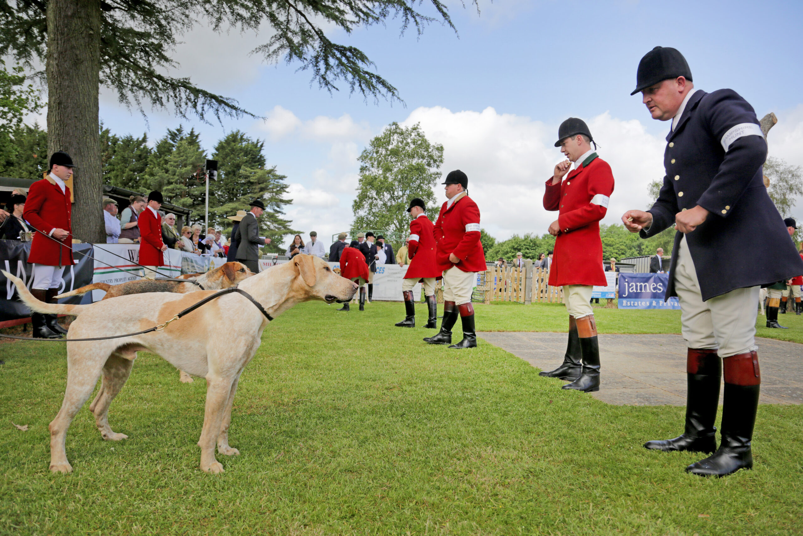 Country Sports - South of England Show